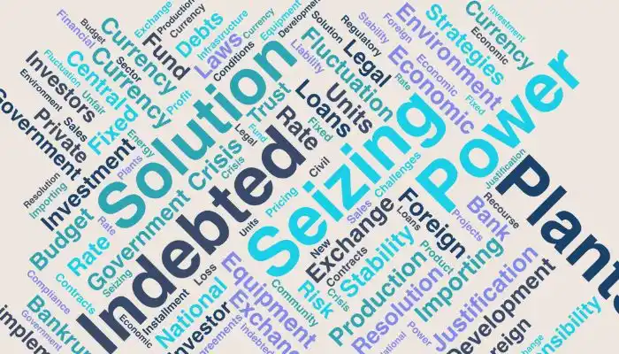 Seizing Indebted Power Plants; A Solution or a New Crisis? - Yaser ...